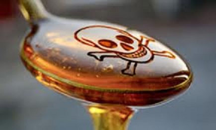 Is Corn Syrup Making Us Hungry and Fat? | MPHProgramsList.com